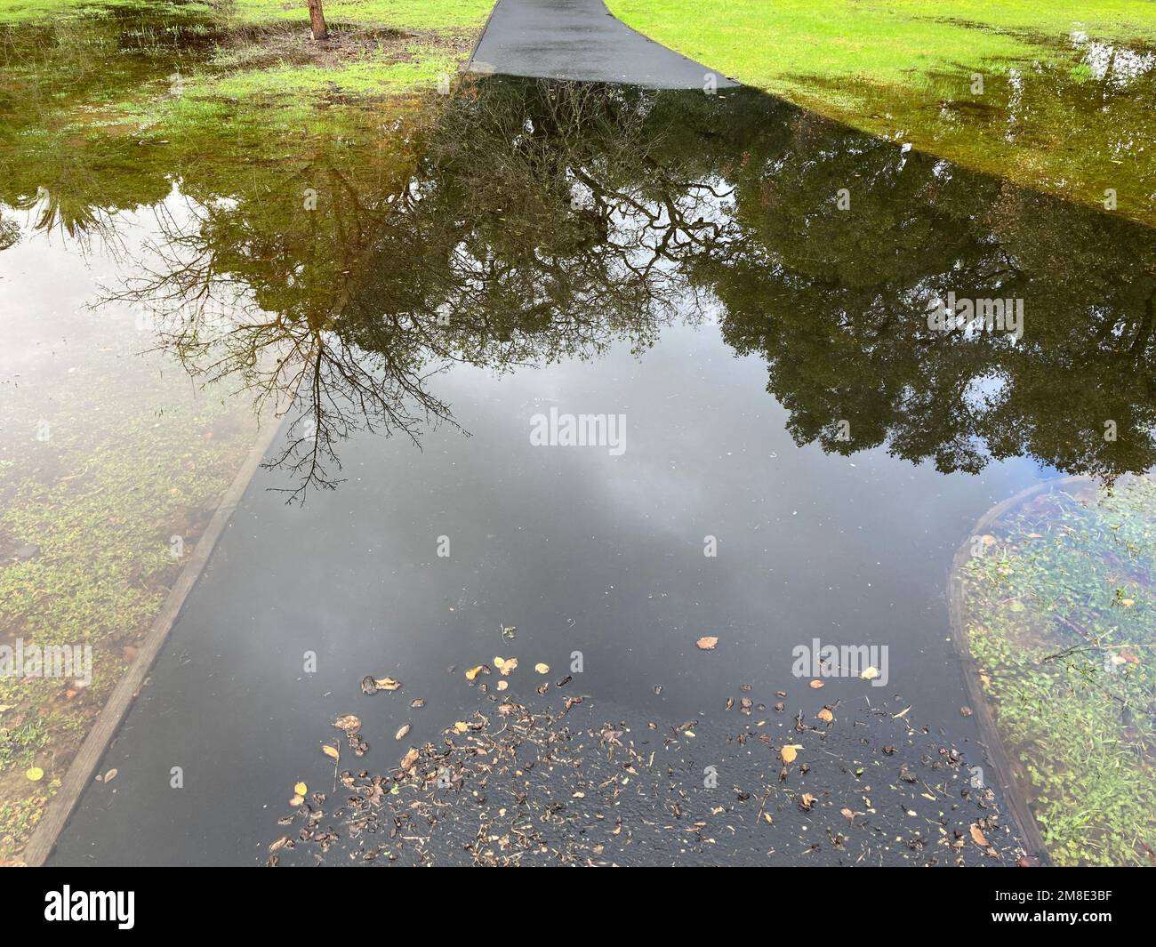 Flooded pedestrian walkway after heavy rain. Trees reflect on water ...