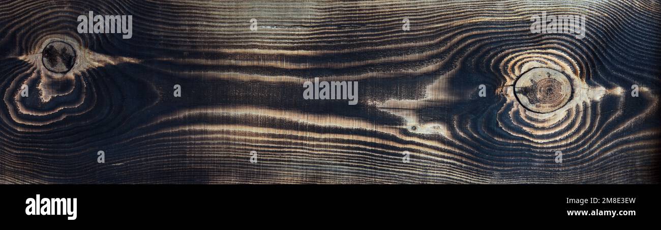 Burnt Wood Texture