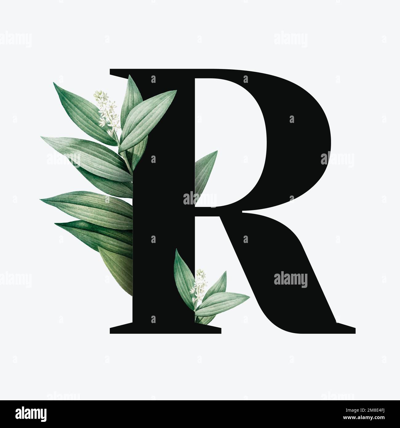 Botanical capital letter R vector Stock Vector Image & Art - Alamy