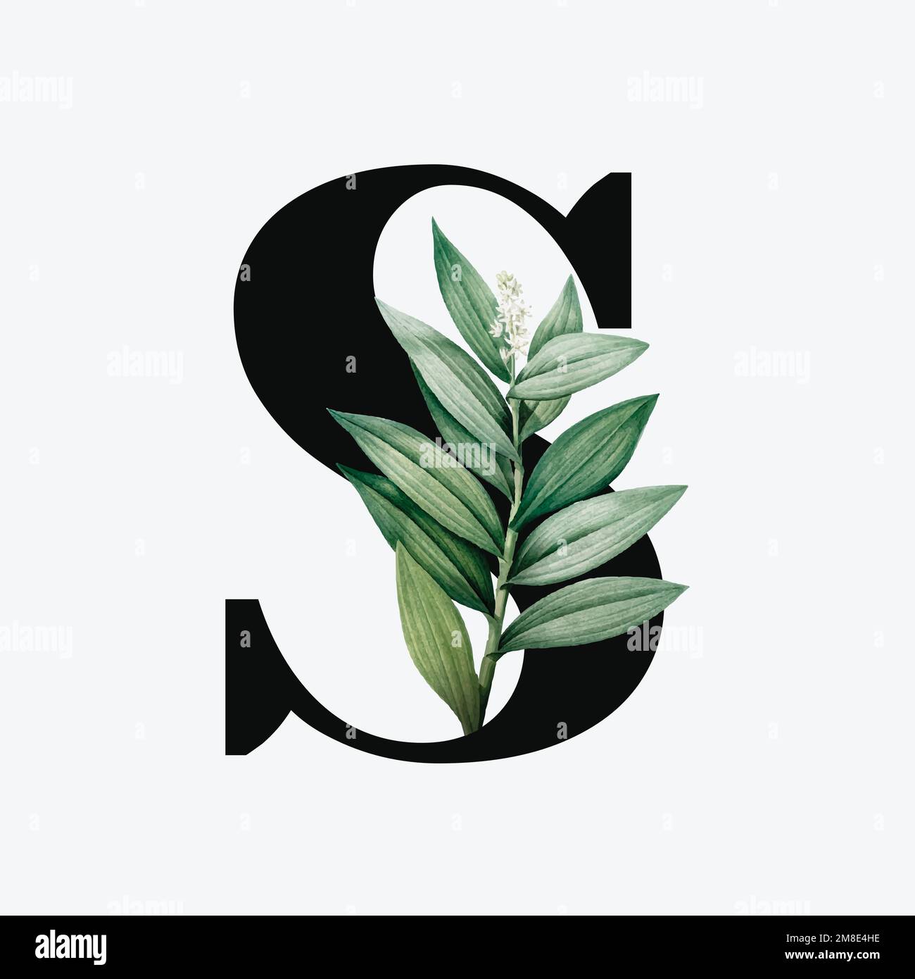 Botanical capital letter S vector Stock Vector Image & Art - Alamy Botanical capital letter S vector Stock Vector Image & Art - Alamy