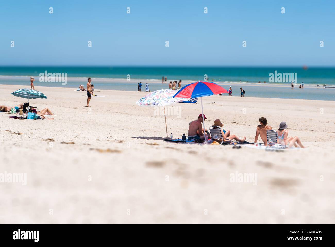 13 January 2023. View of beachgoers, Grange Beach, Adelaide, Australia ...