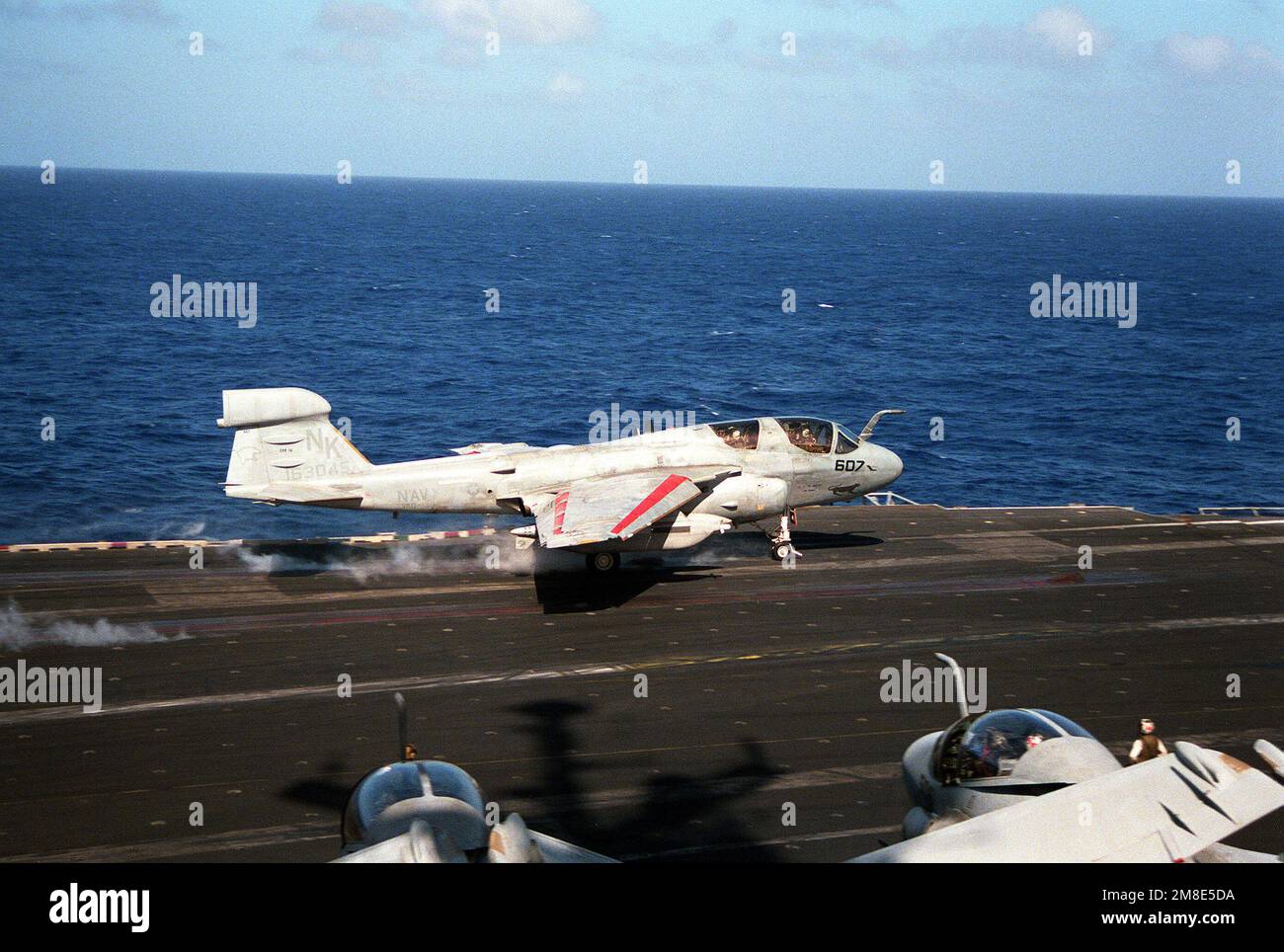 A Tactical Electronic Warfare Squadron 139 (VAQ-139) EA-6B Prowler ...