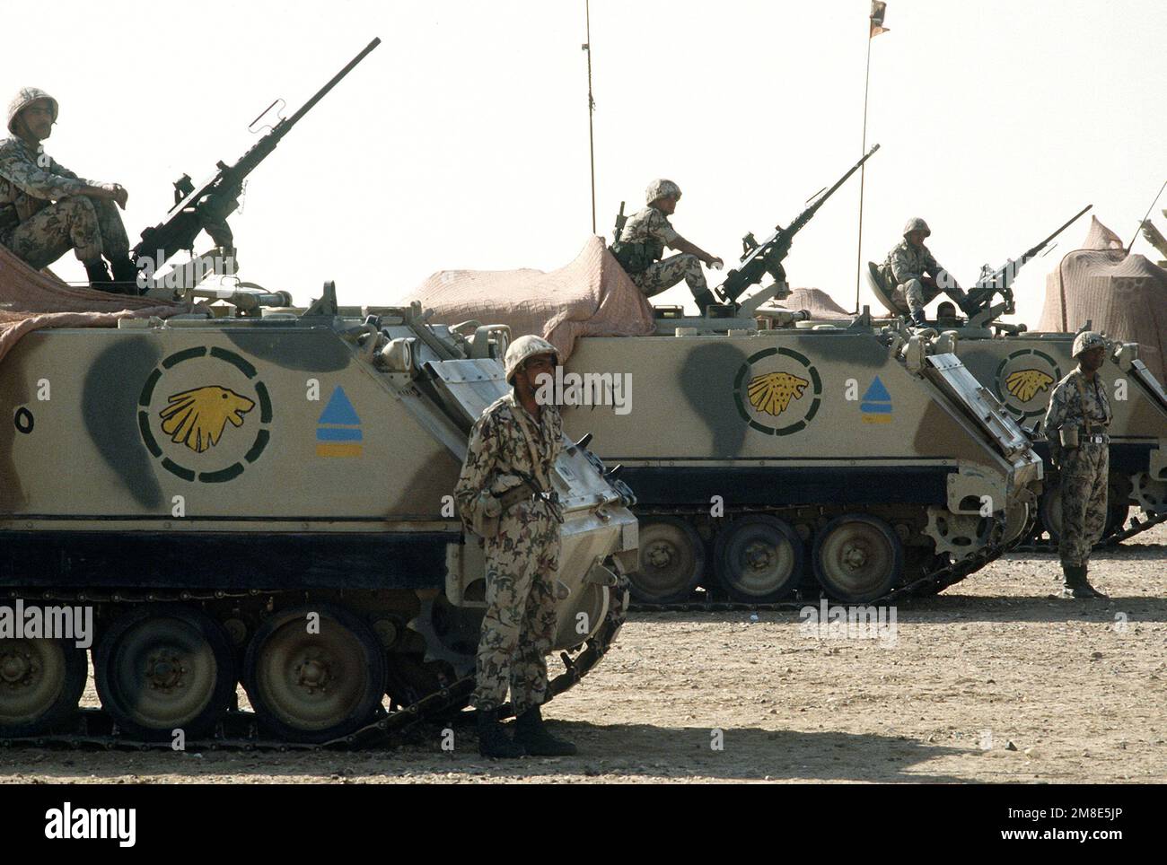 Egyptian soldiers man M-2 .50-caliber machine guns atop M-113 armored ...