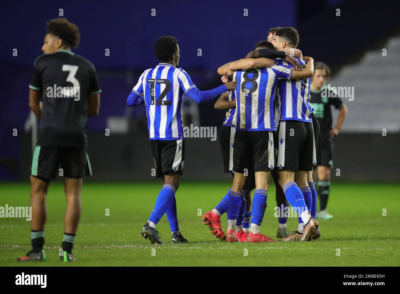 The Sheffield Wednesday Under 18’s squad celebrate the victory after ...