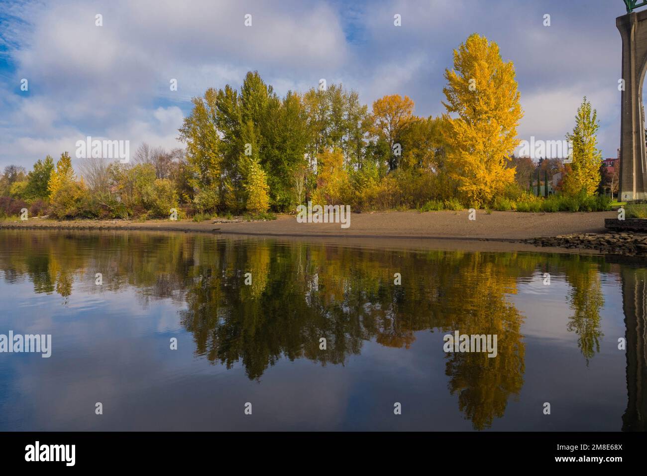 Fall colors reflected on the Willamette River at Cathedral Park in ...
