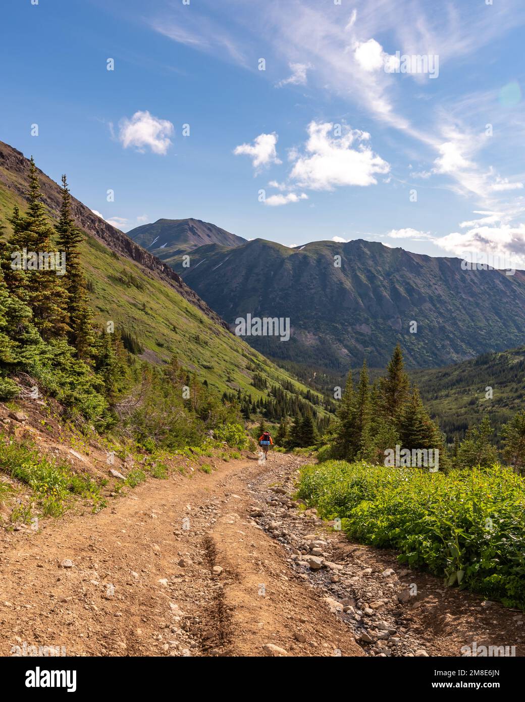 Landscape views near Alaska, Yukon border in summer Stock Photo - Alamy