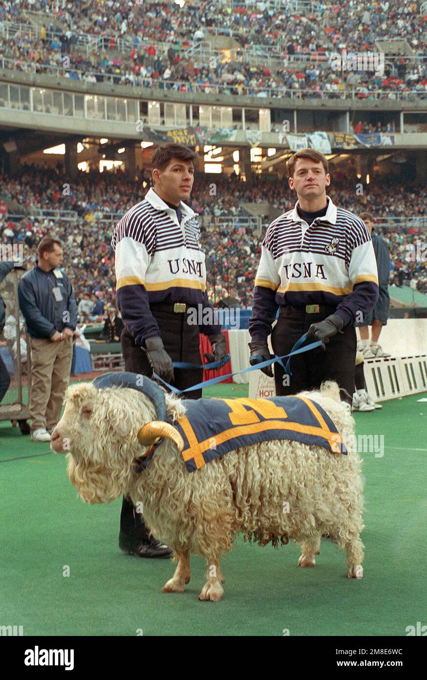 Handlers hold the reins of the U.S. Naval Academy football team 's ...