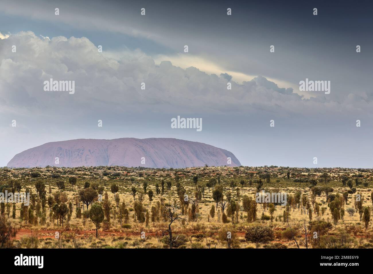 394 Late afternoon view of Uluru-Ayers Rock under a menacing stormy sky ...