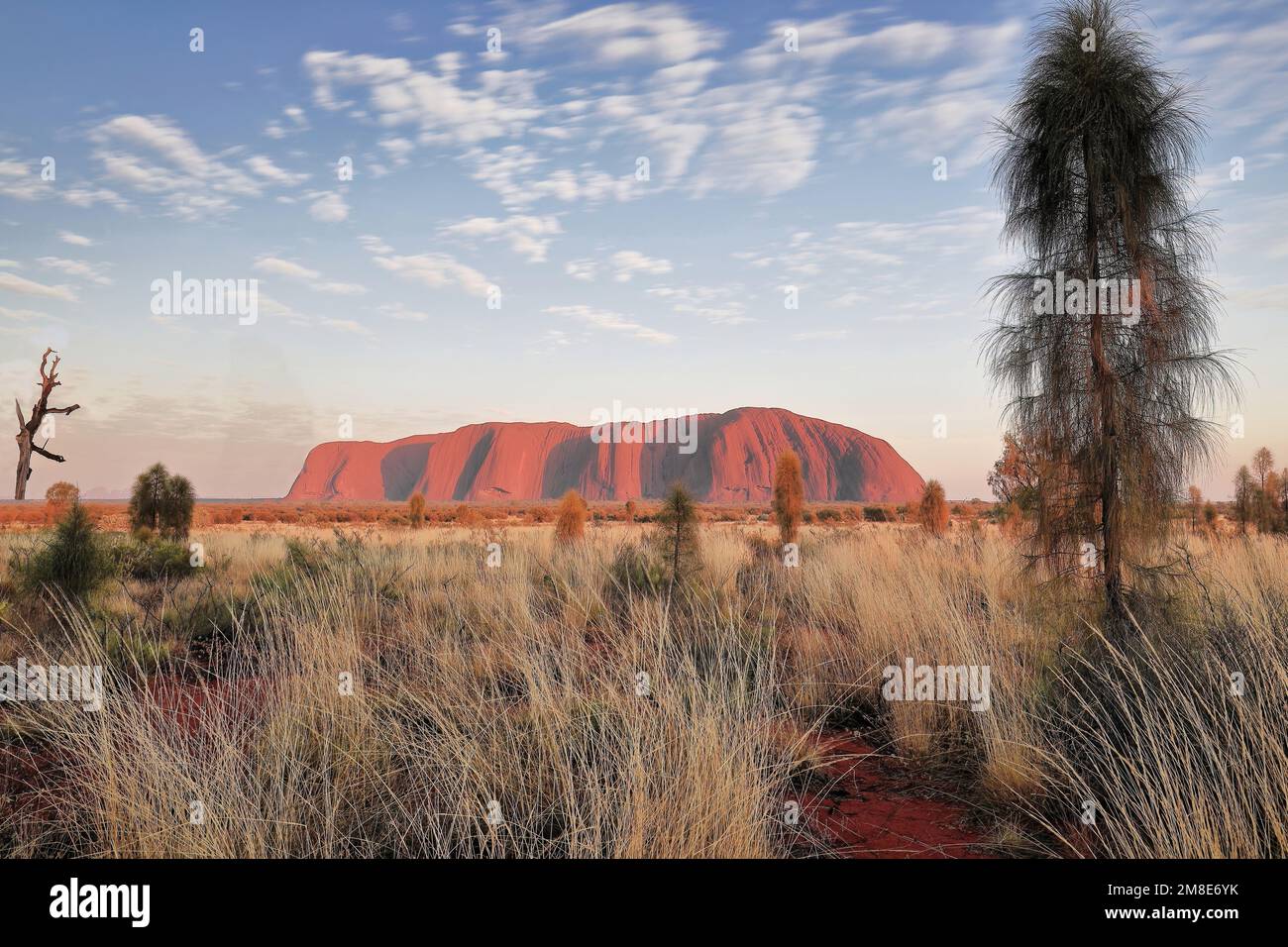 397 View of Uluru-Ayers Rock in the early morning under an almost clear ...