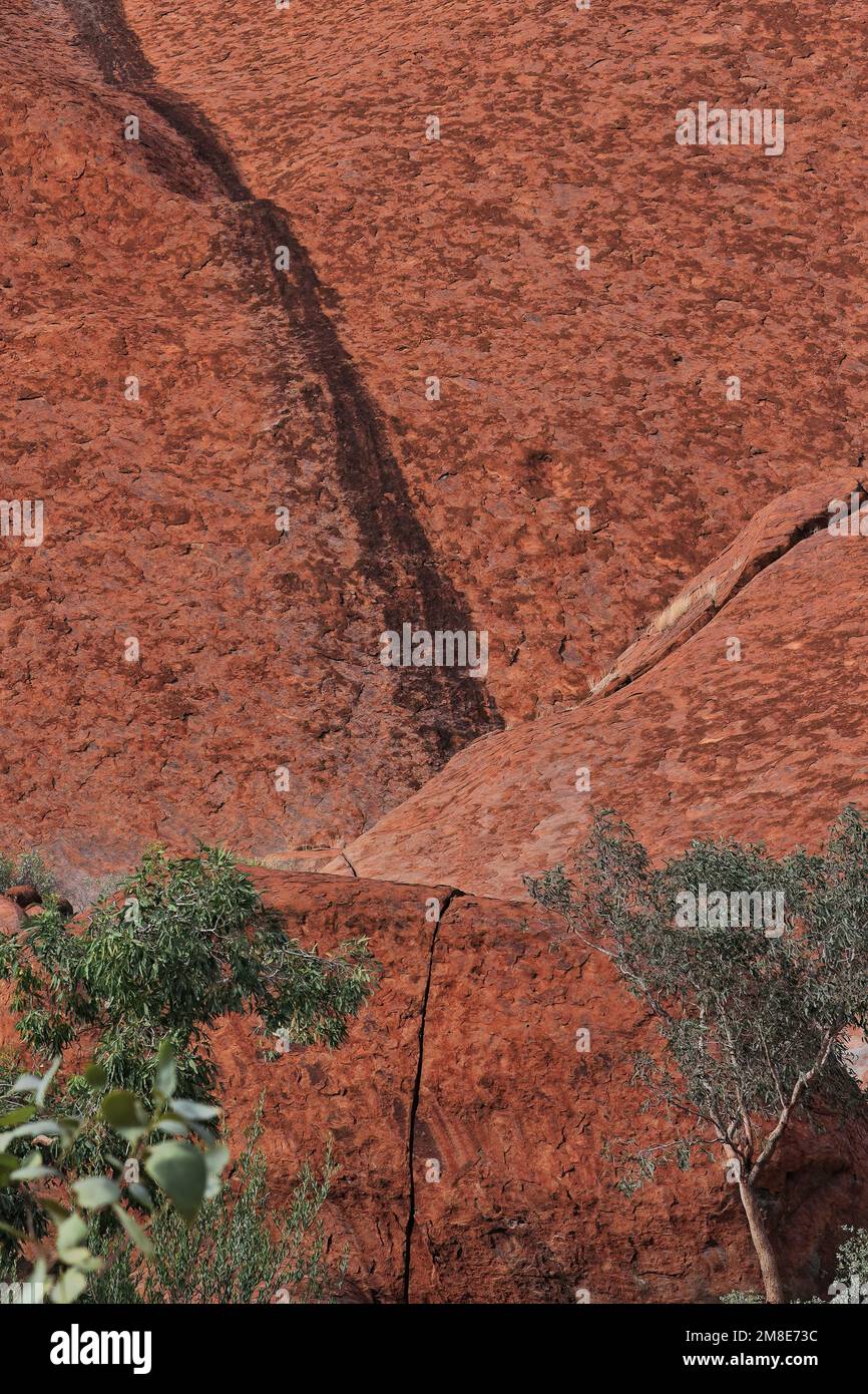 406 Dark algae-marked falling water channel in the Uluru-Ayers Rock Mala Puta area seen from the ...