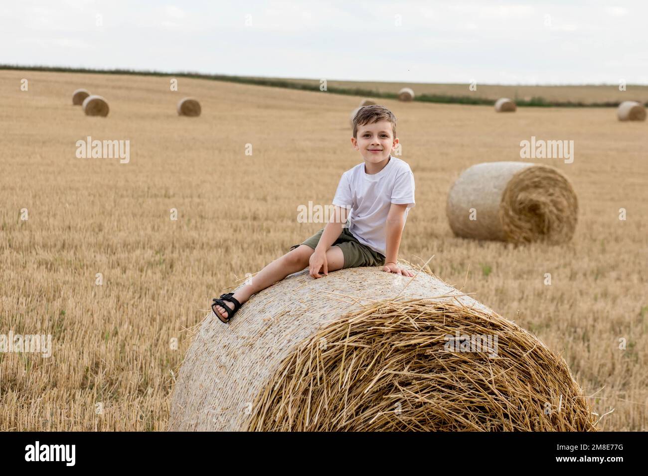 A cute little boy in a white t-shirt and khaki shorts is sitining on ...