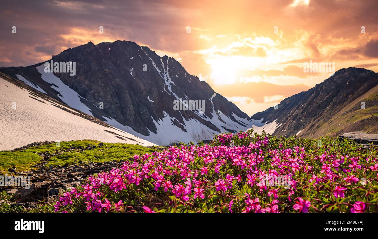 Stunning landscape scenery seen in northern Canada on summer solstice ...