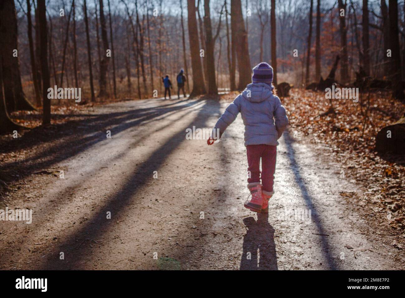 Child walks on sunlit tree-lied path with family in woods Stock Photo ...