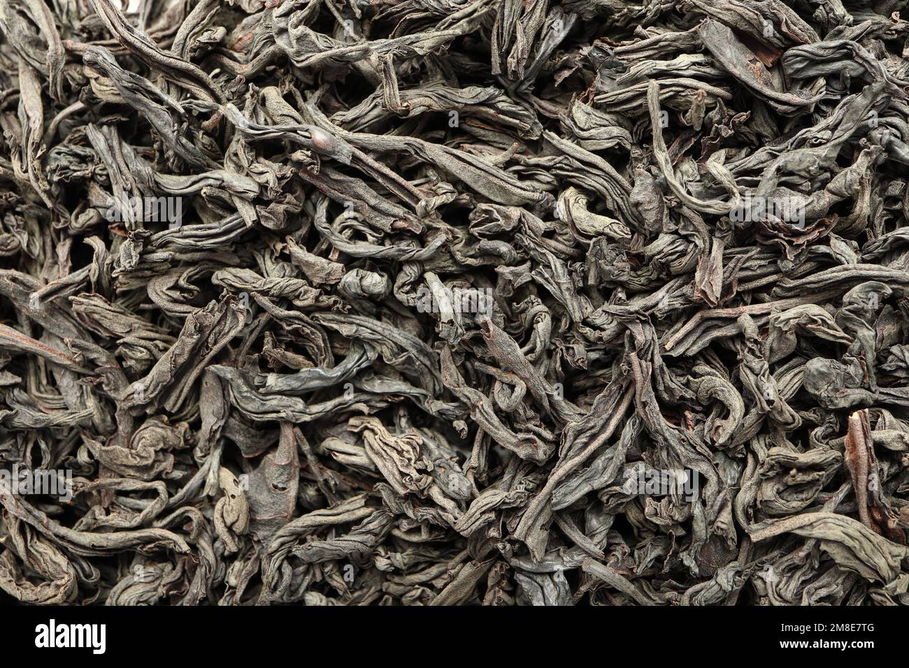 Close-up macro shot of the dry black tea leaves lying on a flat surface ...
