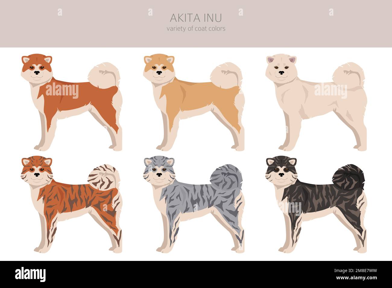 Akita Inu Logo