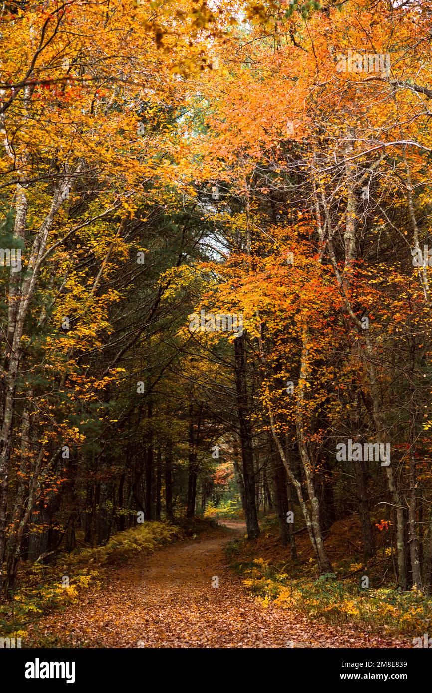 Fall Foliage roads in Arcadia State Management Area of Rhode Island ...
