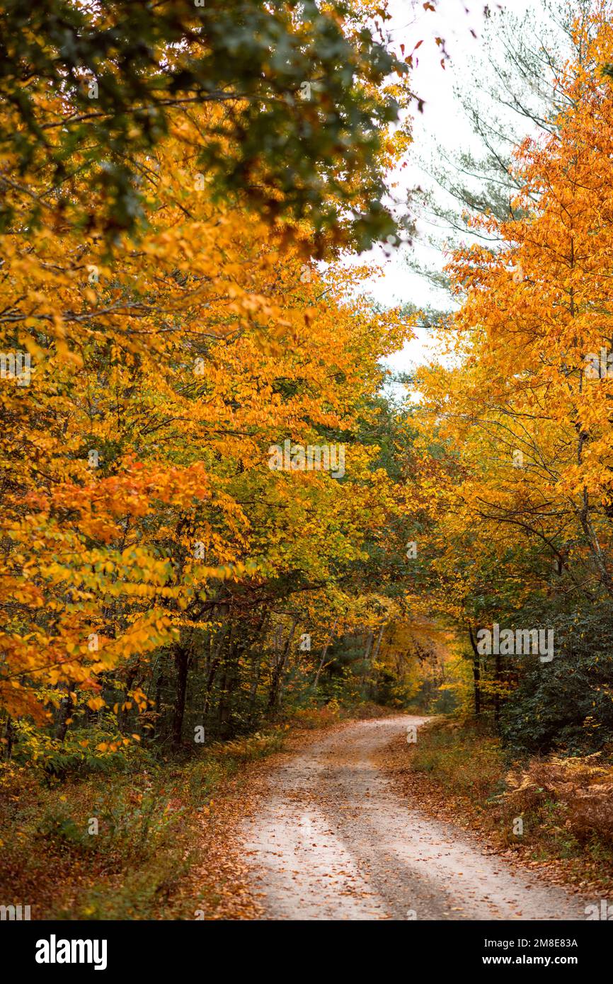 Fall Foliage roads in Arcadia State Management Area of Rhode Island ...