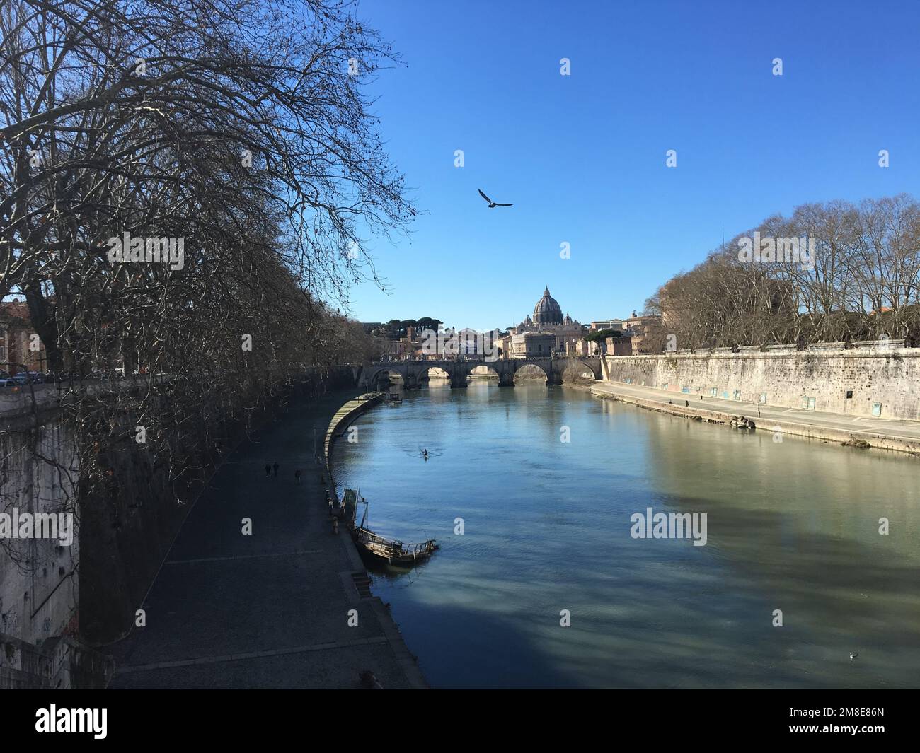 Basilica di San Pietro view from bridge with a bird in sky Stock Photo ...