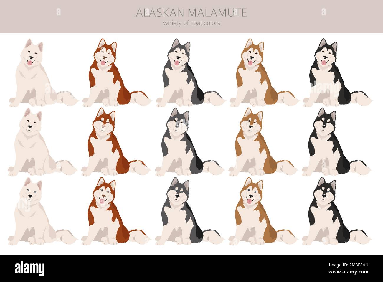 Alaskan malamute all colours clipart. Different coat colors and poses ...