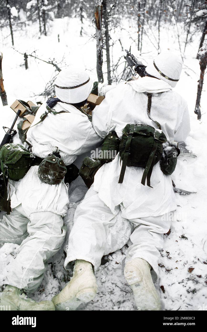 A machine gunner and loader from Co. B, 4th Bn., 9th Inf. Div., prepare ...