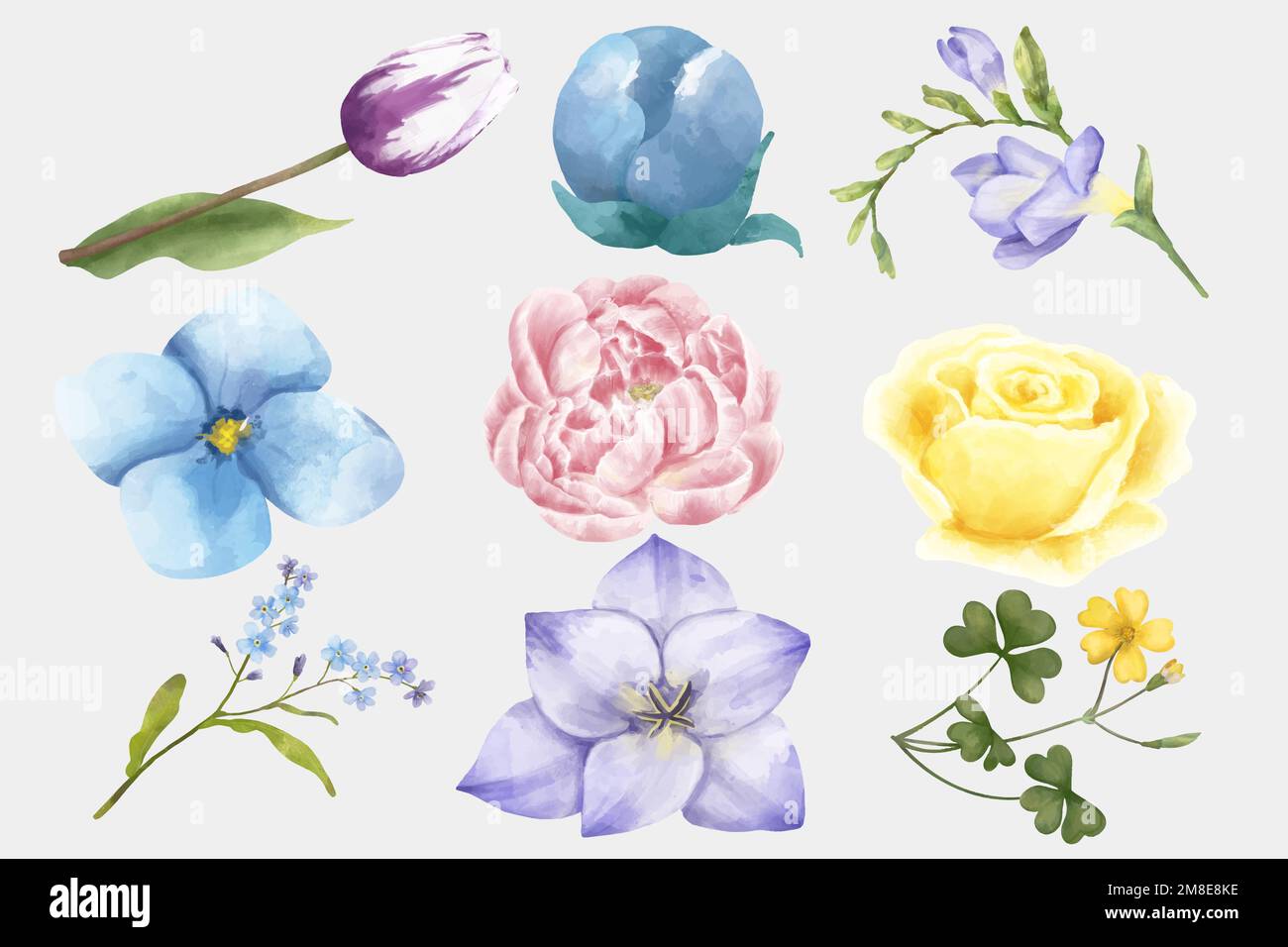 Watercolor blooming flowers vector clipart set Stock Vector Image & Art ...