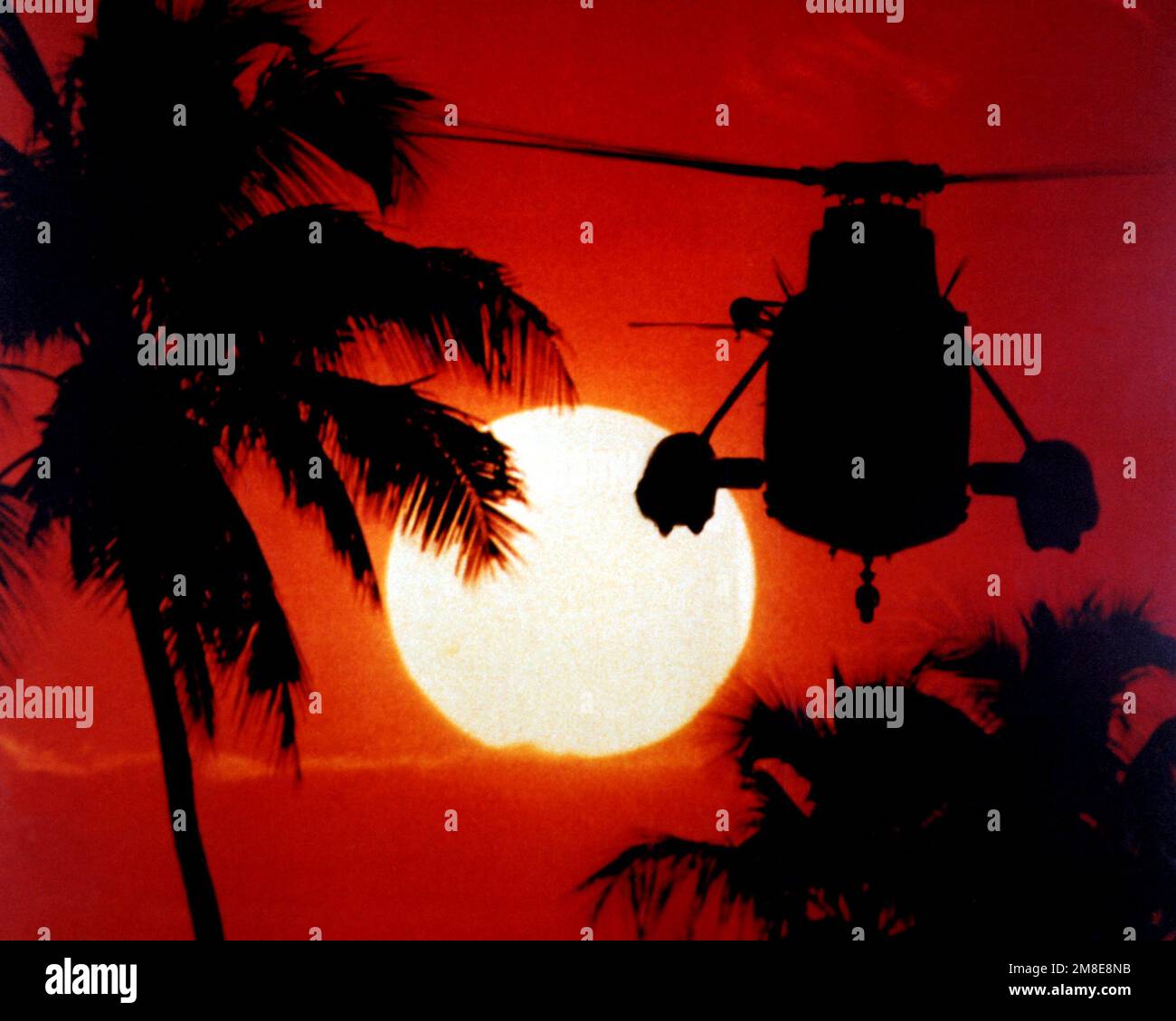 Chica sh hi-res stock photography and images - Alamy