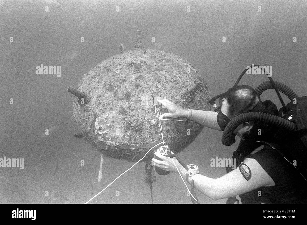 A diver from Detachment 8, Explosive Ordnance Disposal (EOD) Mobile ...