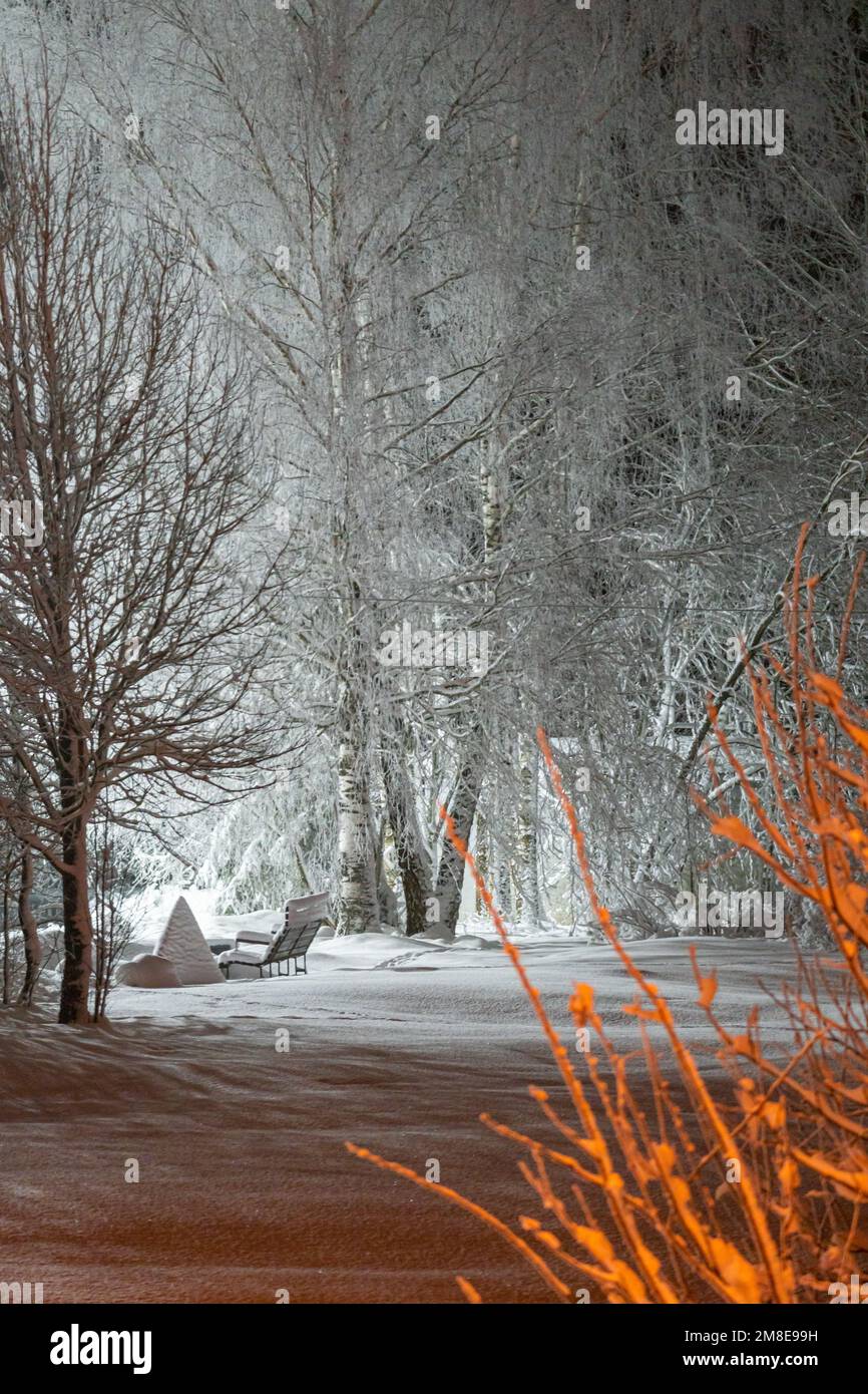 Winter night landscape - trees in the snow and shining street lights ...