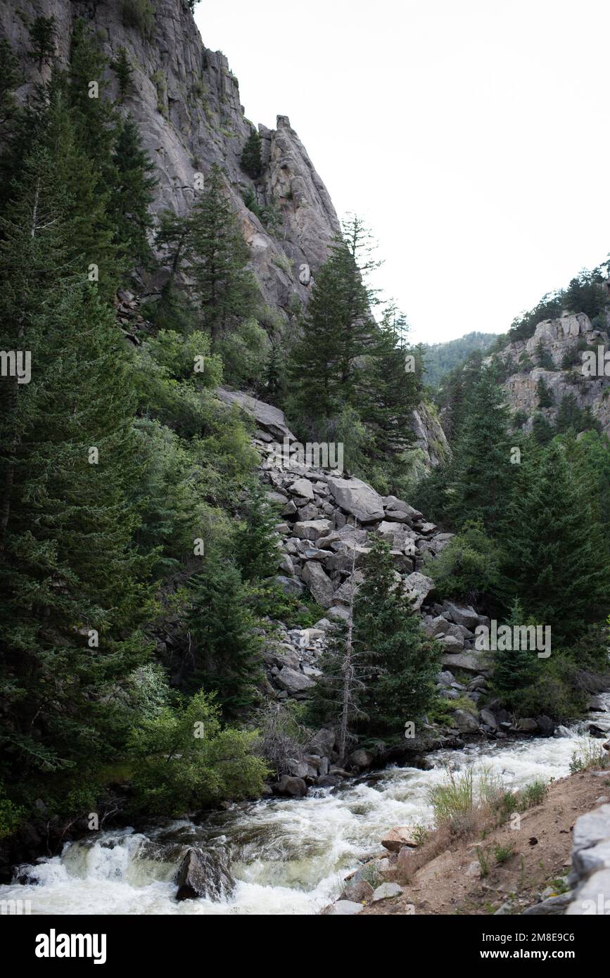 Narrow Creek Near Road with Evergreens and Rocks in Colorado Stock ...