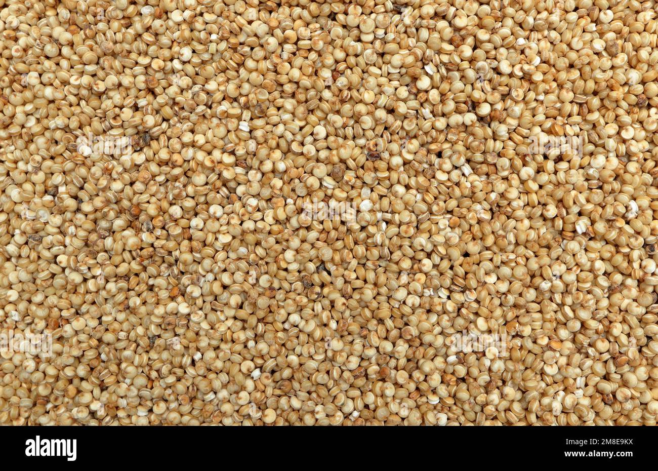Close-up macro shot of the dry light quinoa grains lying on a flat ...