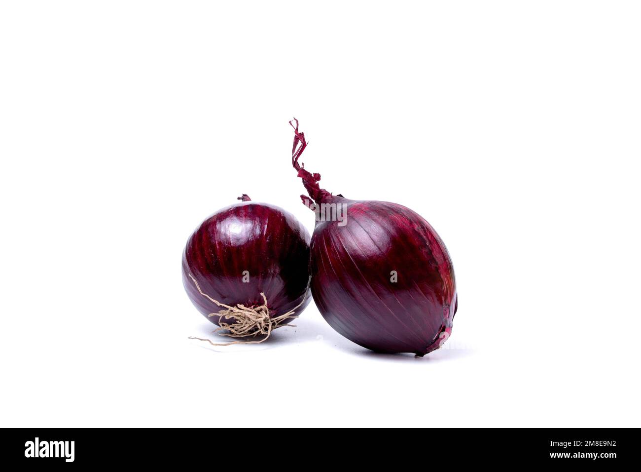 Violet onions isolated on a white background. View from above Stock ...