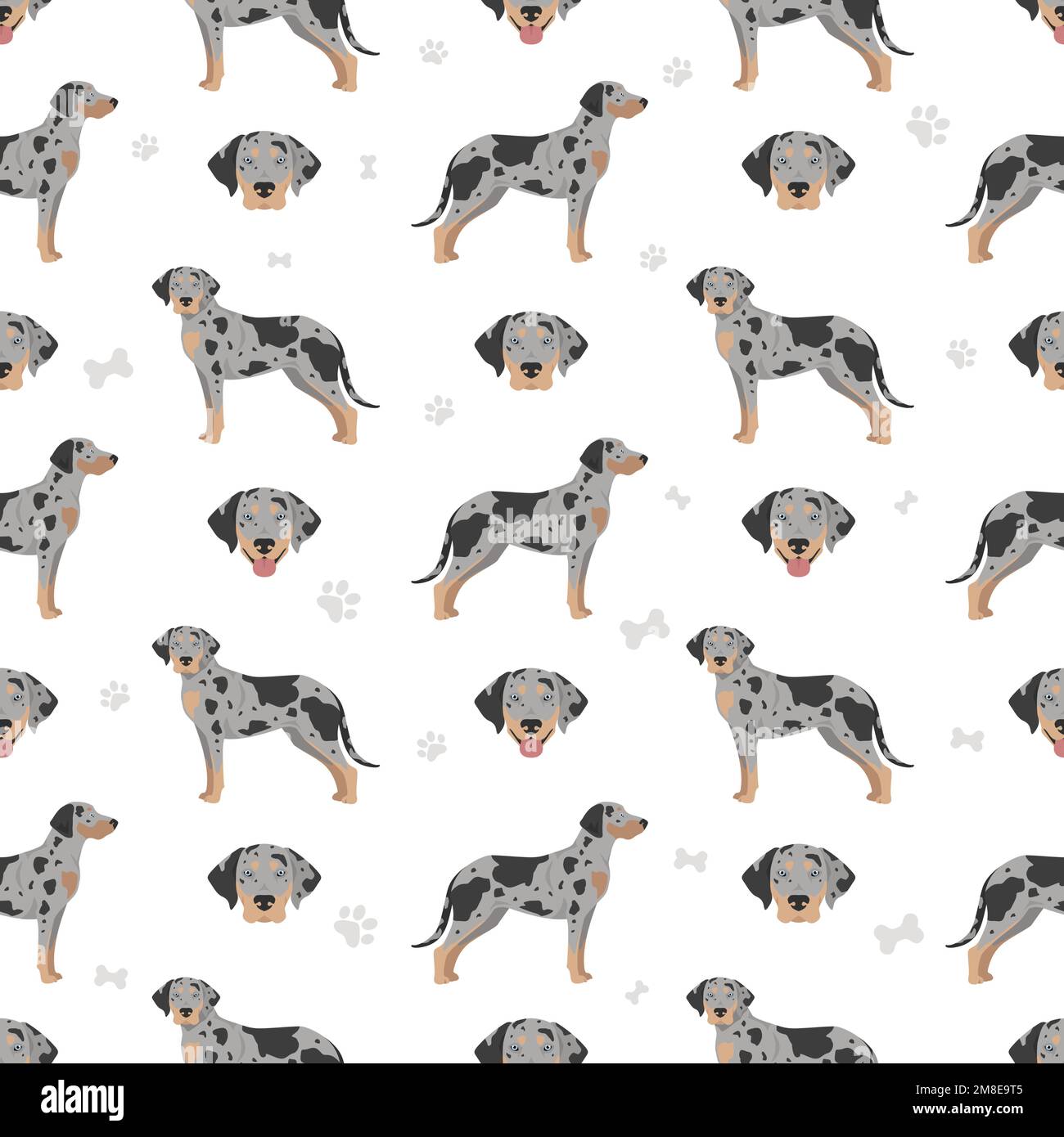 Catahoula Leopard dog seamless pattern. Vector illustration Stock ...