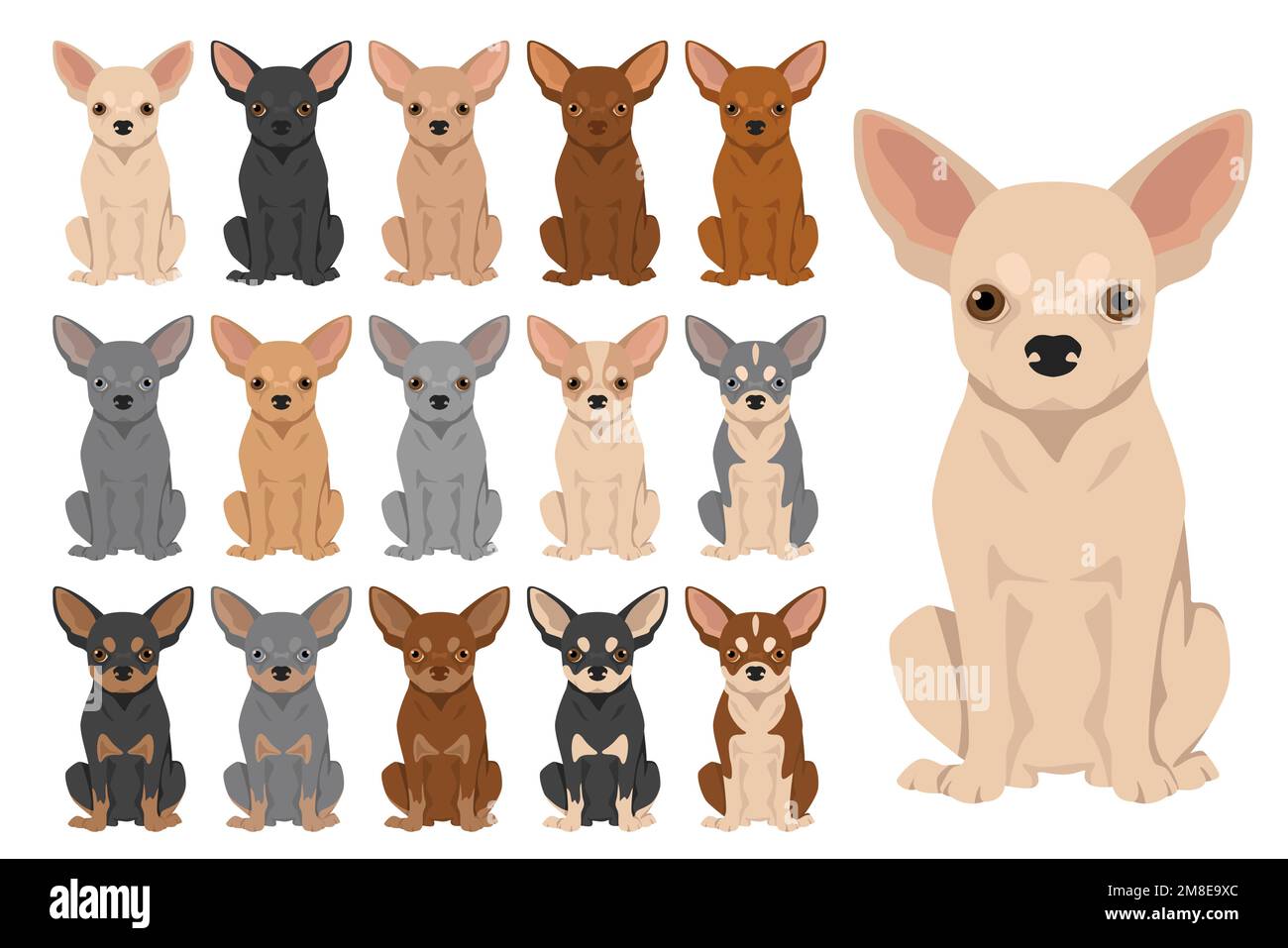 Smooth haired dog lying on Stock Vector Images - Alamy