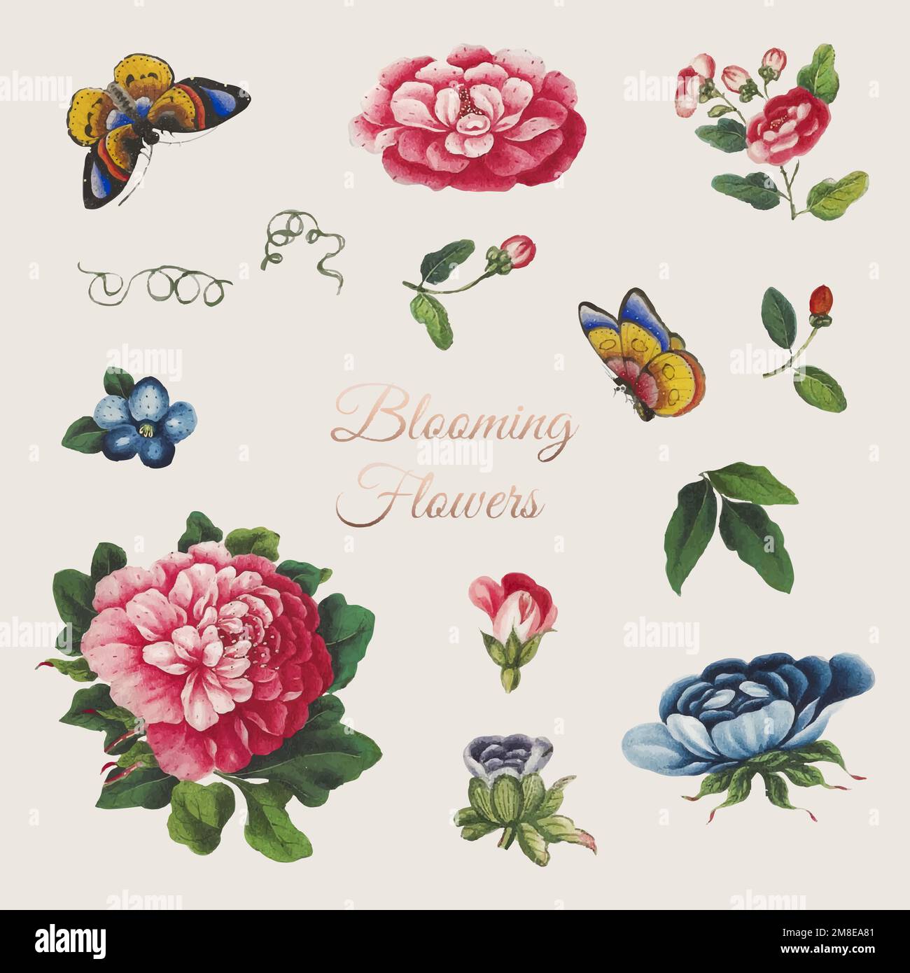 Vintage Chinese flowers set vector Stock Vector Image & Art - Alamy