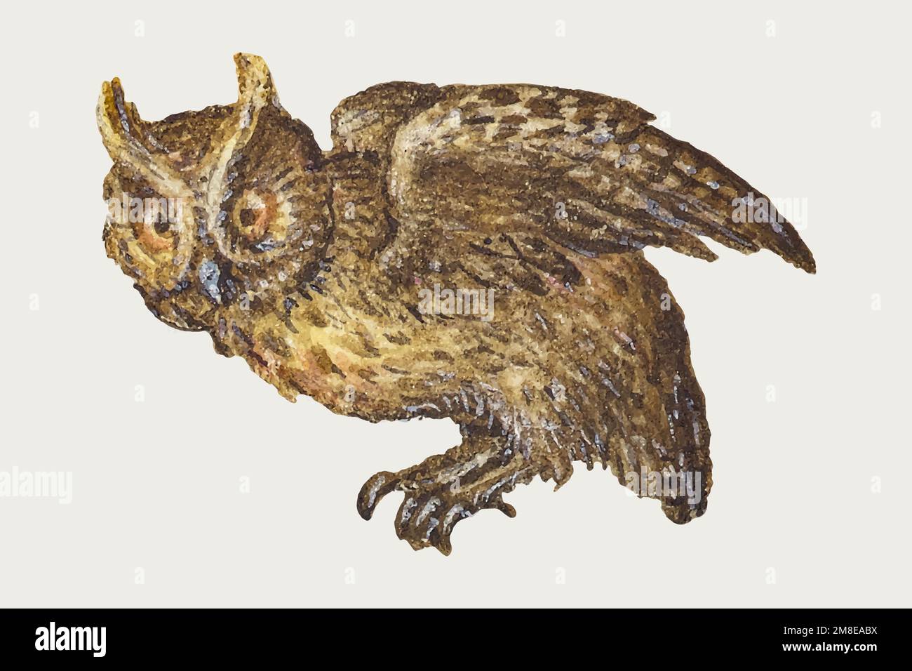 Owl hand drawn sketch Stock Vector Images - Alamy