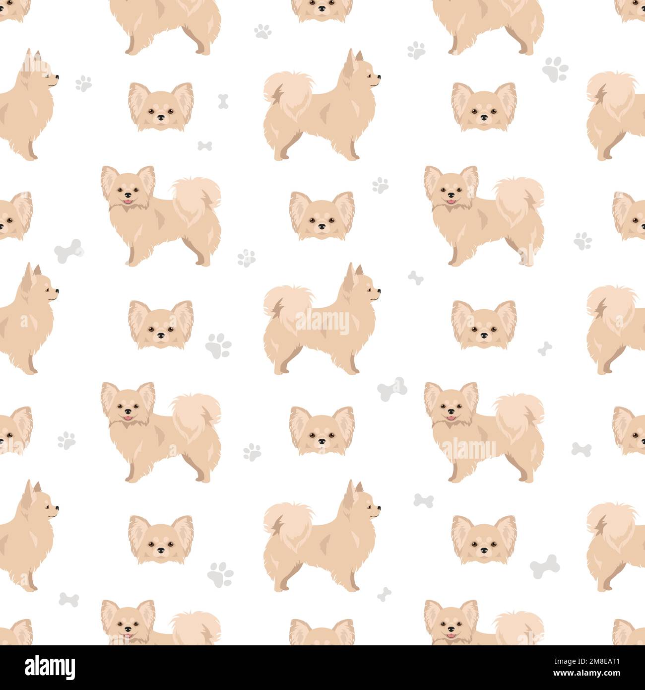 Chihuahua long haired seamless pattern. Vector illustration Stock ...