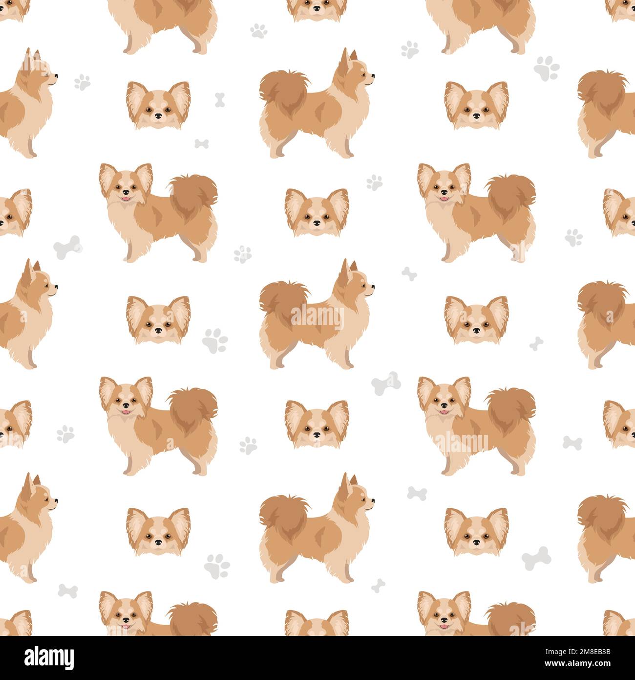Chihuahua long haired seamless pattern. Vector illustration Stock ...