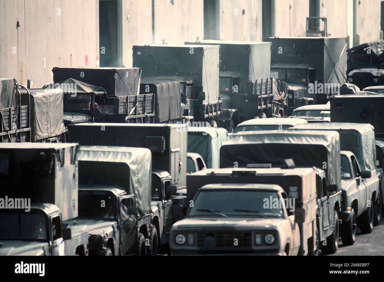 M-880 1 1/4-ton utility trucks and 5-ton trucks line a staging area ...