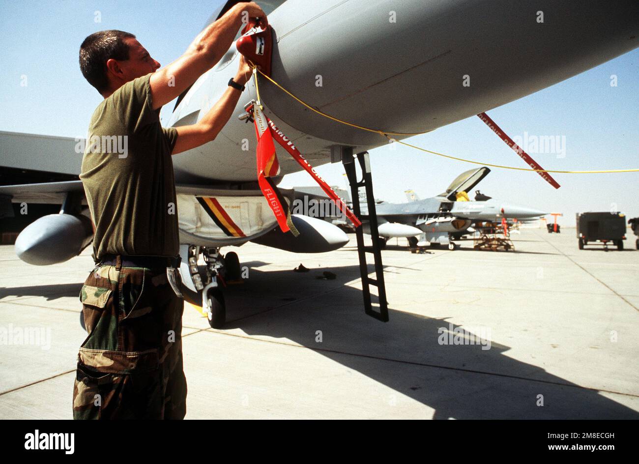 Sau manuel hi-res stock photography and images - Alamy