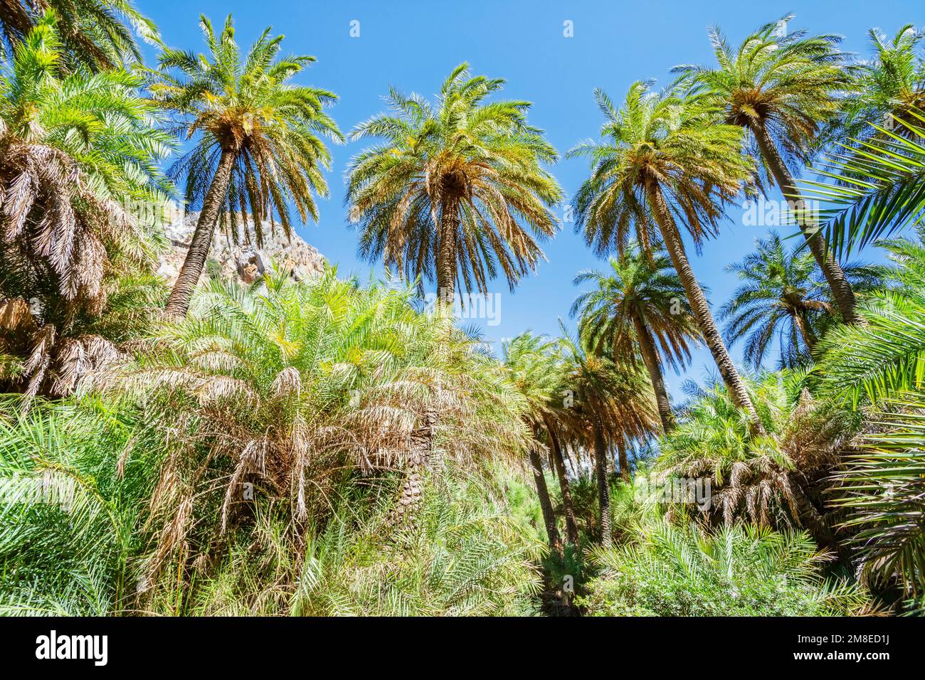 Preveli gorge hi-res stock photography and images - Alamy