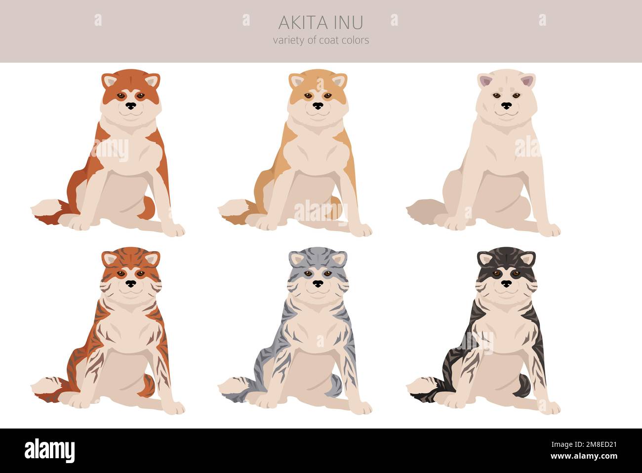 Akita Inu all colours clipart. Different coat colors set. Vector ...