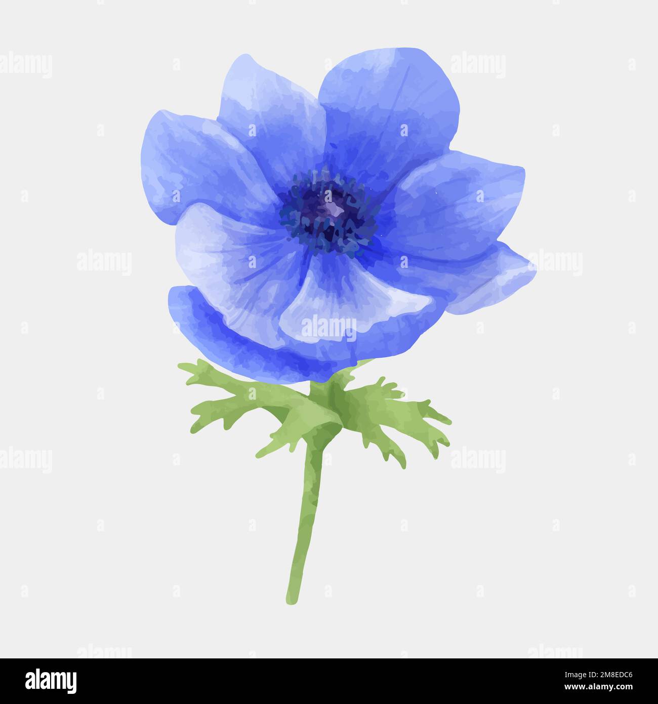 Blue flower hand drawn vector floral clipart Stock Vector Image & Art ...