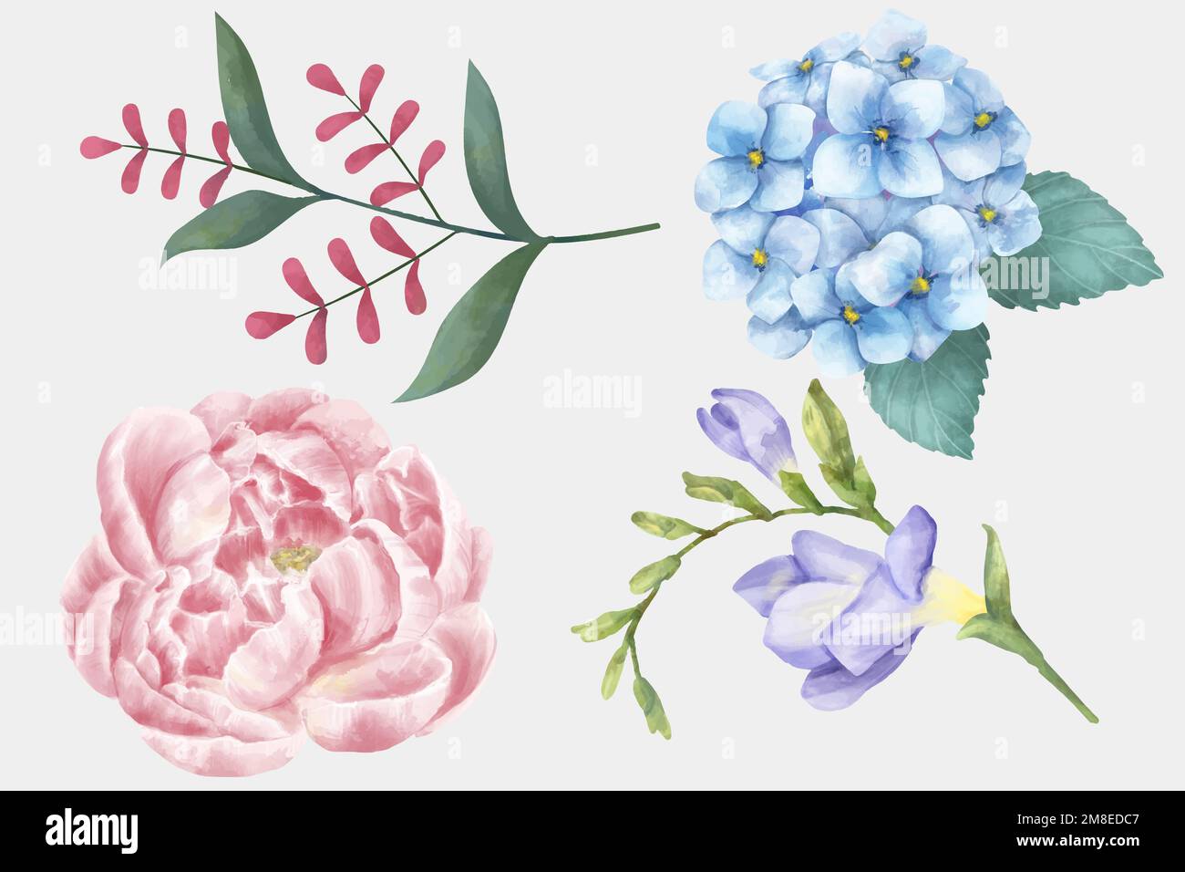 Watercolor blooming flowers vector clipart collection Stock Vector ...