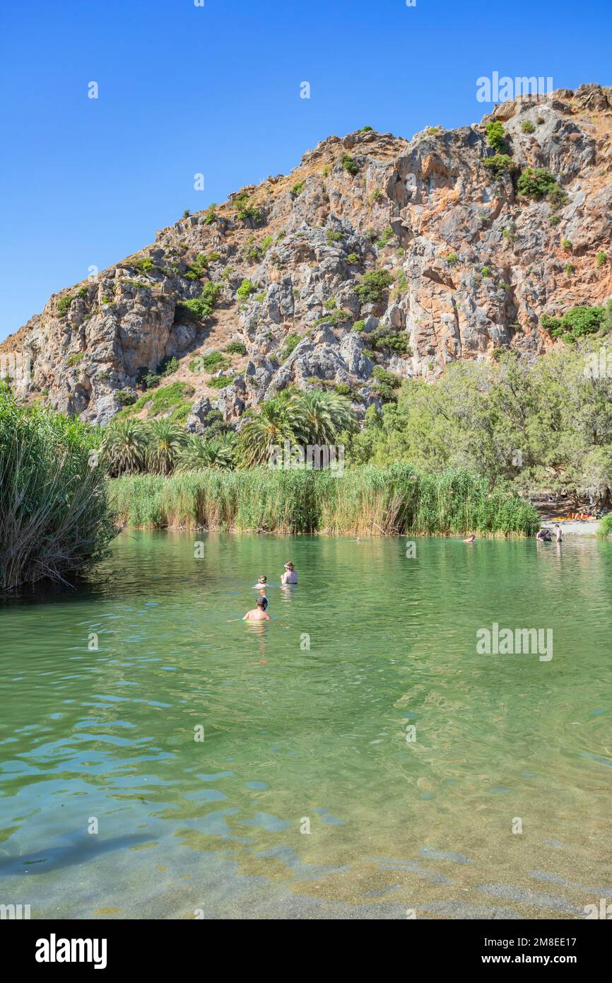 Palm forested river megalopotamos river hi-res stock photography and ...