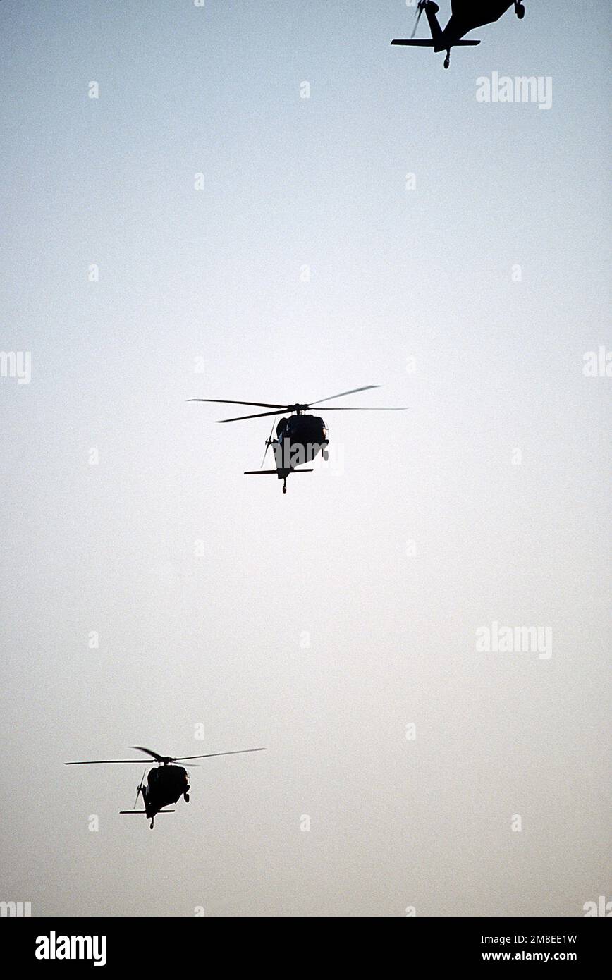 UH-60 Black Hawk (Blackhawk) helicopters fly in formation during ...