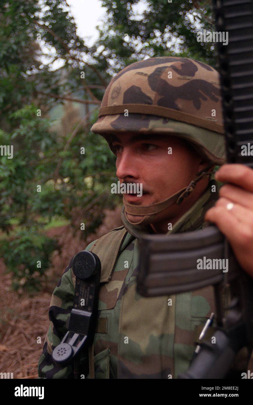 STAFF SGT. Warren Earling, Co. B, 4th Bn., 27th Inf., 25th Inf. Div ...