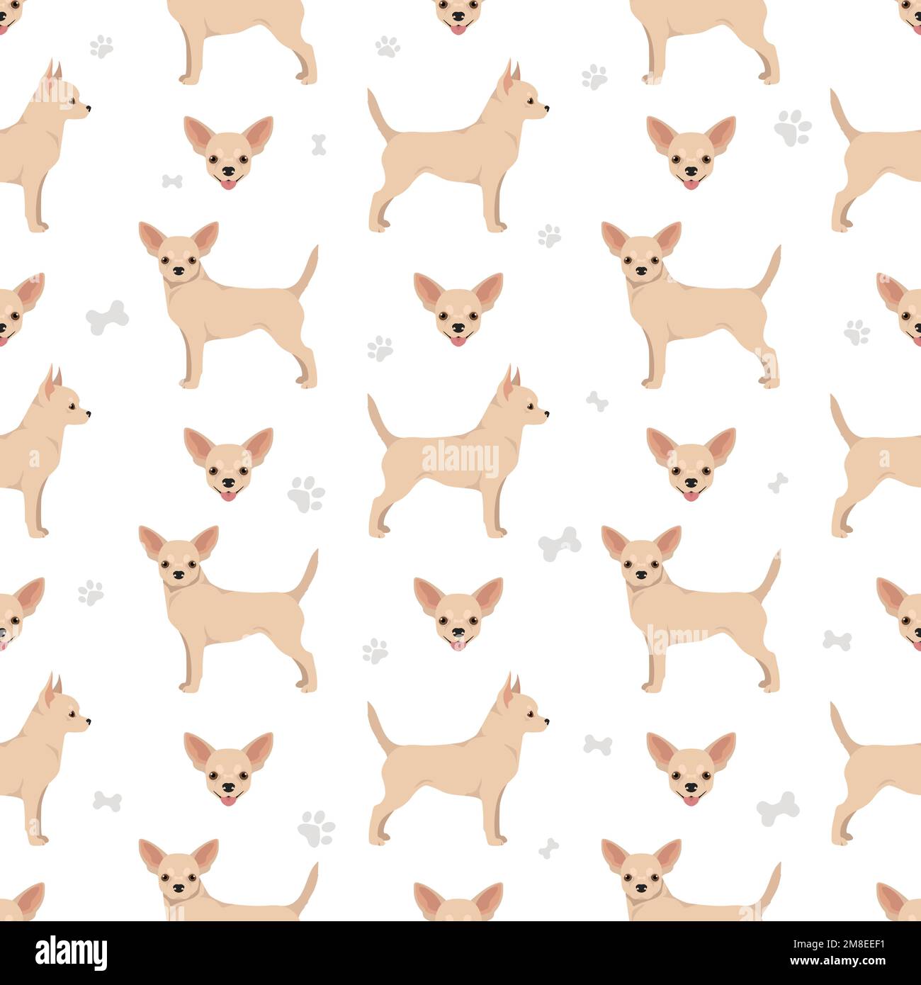 Chihuahua short haired seamless pattern. Vector illustration Stock ...