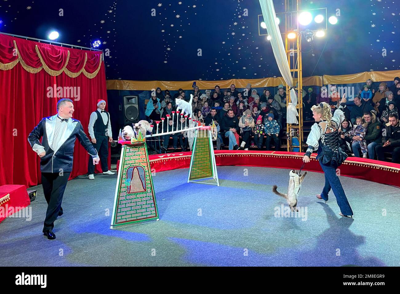 Russian federation. Feningrad region, Murino, . Circus performance, New Year's show circus tent ...