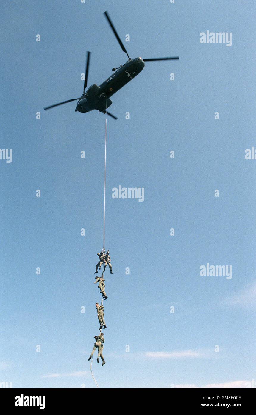 Members of Sea-Air-Land (SEAL) Team 8 and French commandoes hang from a ...