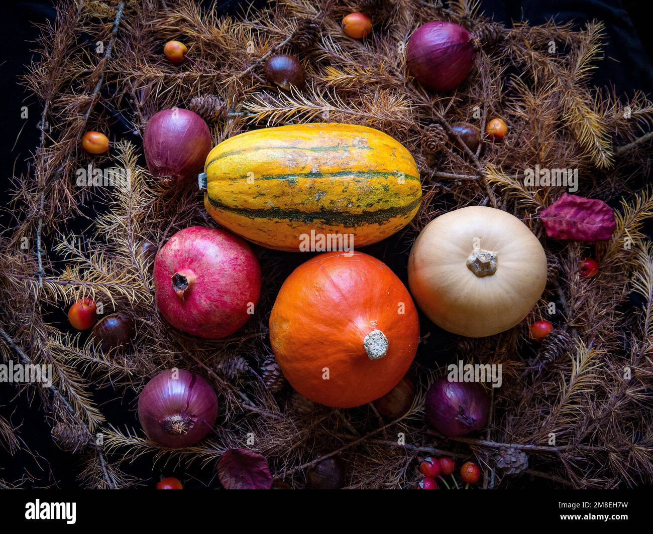 A top view shot of decorative different types of fruits and vegetables ...